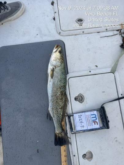 Mardy Fishing Tournament